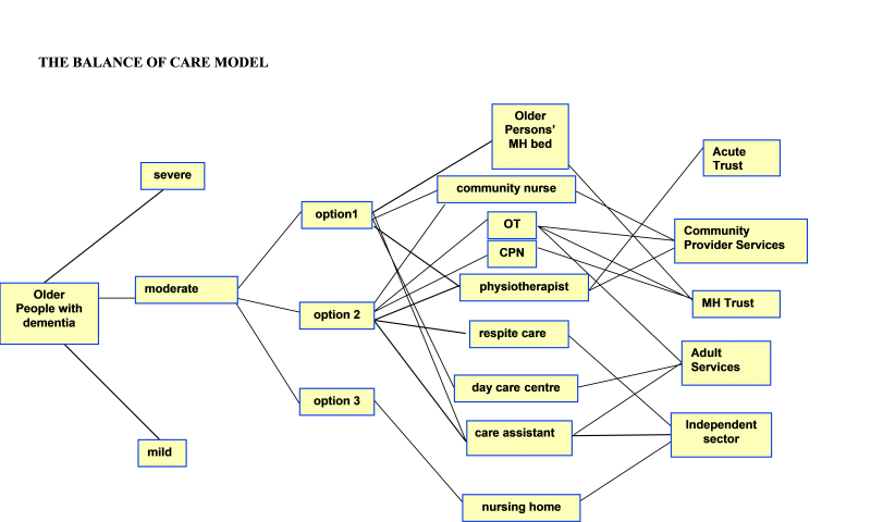 The Balance of Care approach: supporting integrated care planning ...